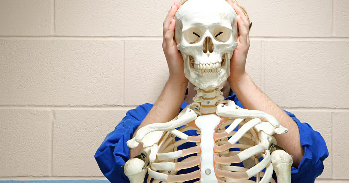 “Can You Really Hear with Your Bones?” | Lemme Audiology